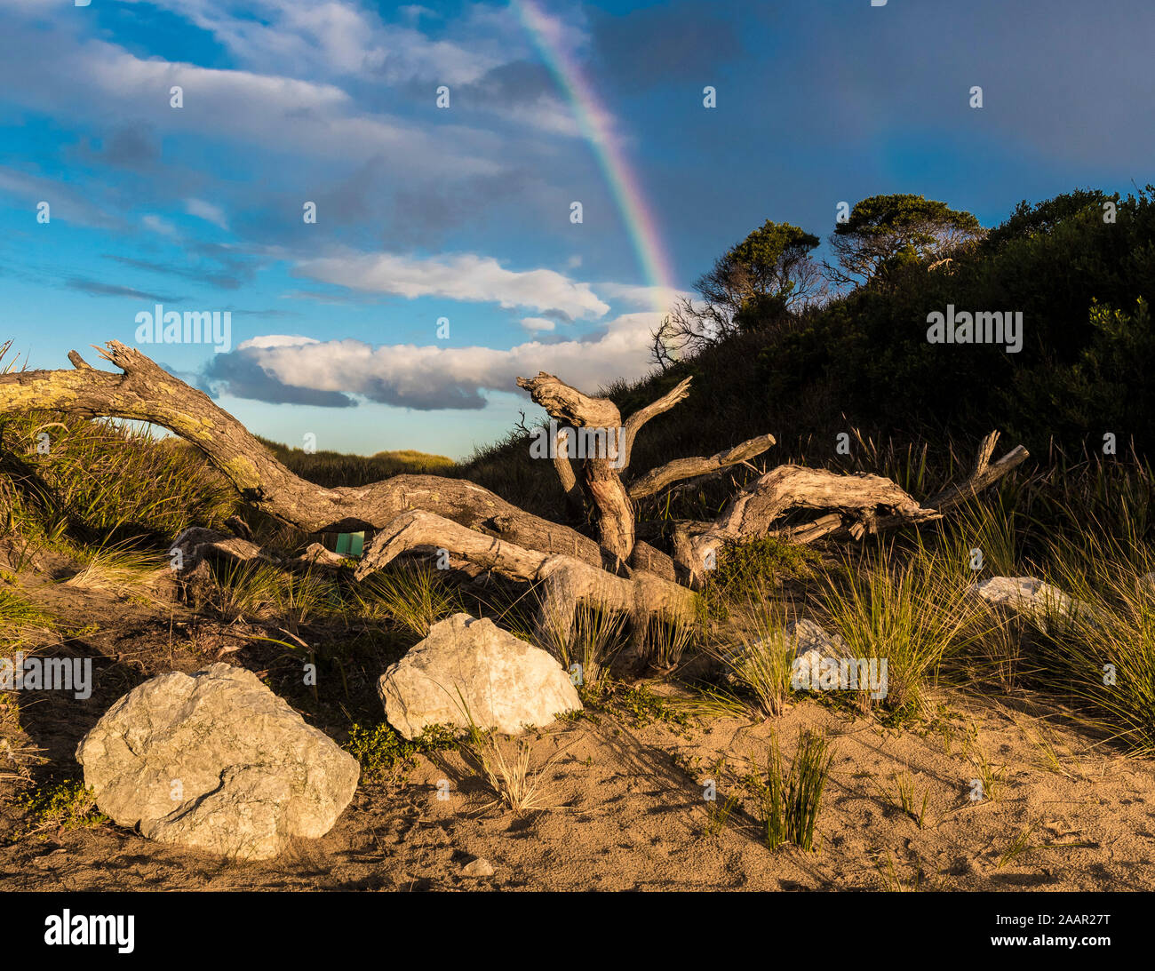 Rainbow and random tree stump Stock Photo - Alamy