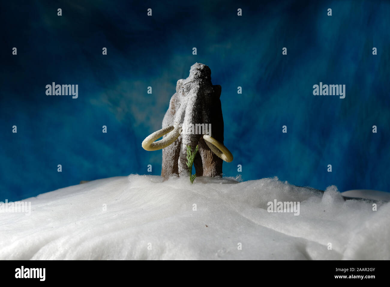 Isolated ice age mammoth head on view Stock Photo - Alamy