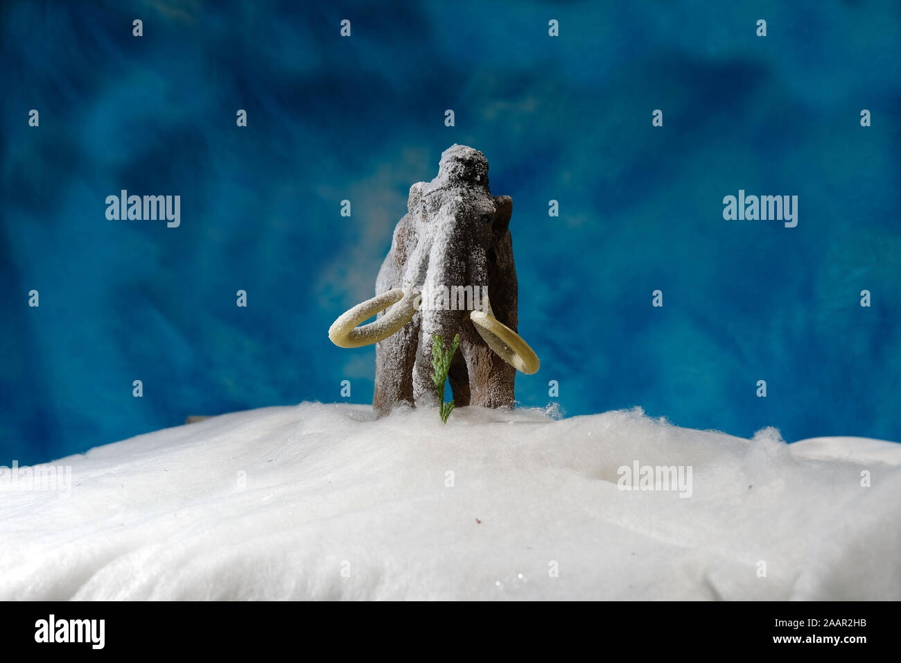 Isolated ice age mammoth head on view Stock Photo - Alamy