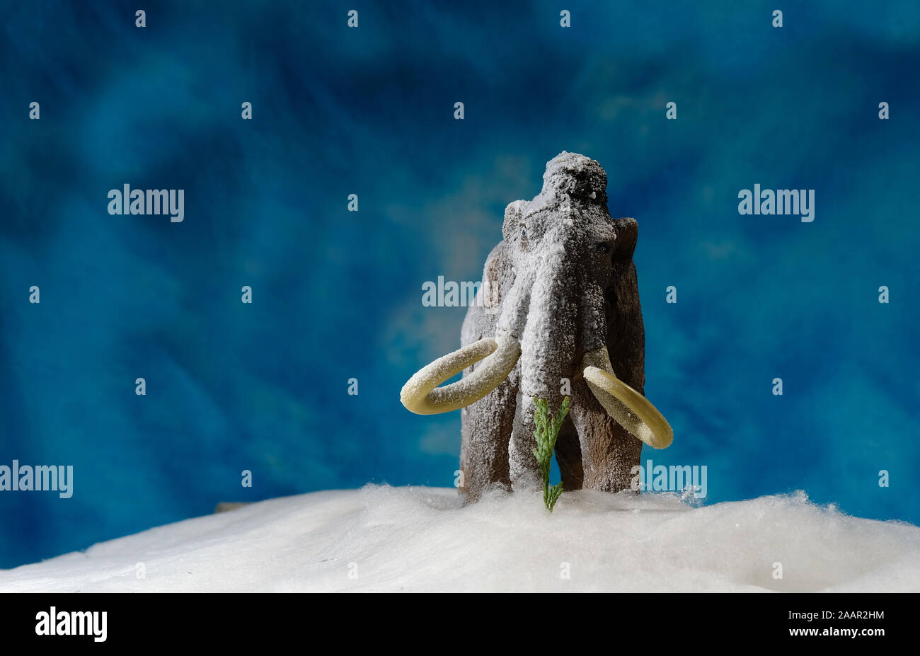 Isolated ice age mammoth head on view Stock Photo - Alamy