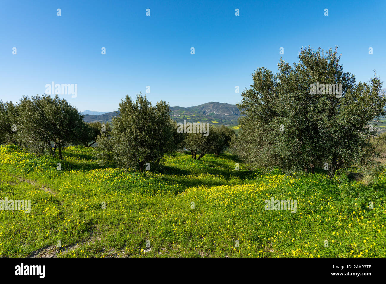 Rural crete hi-res stock photography and images - Alamy
