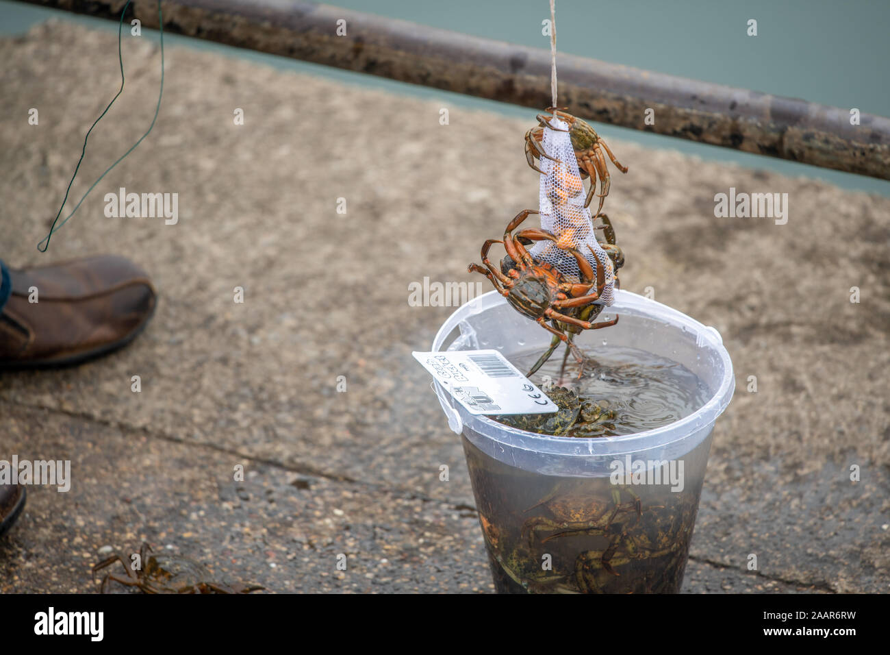 Crabbing bucket hi-res stock photography and images - Alamy