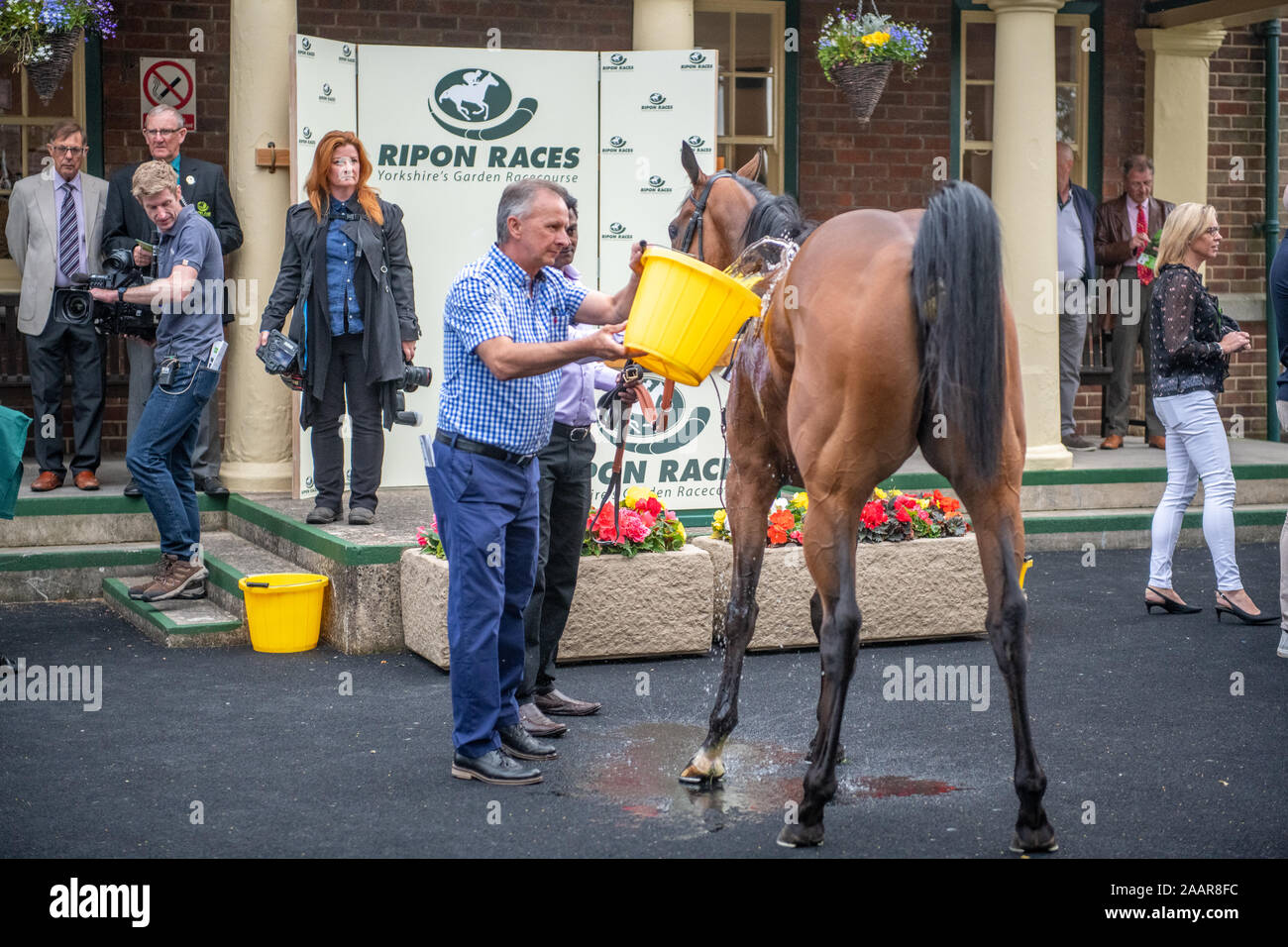 Celebrating in the Winner's Circle at Ripon Races , Yorkshire UK Stock ...