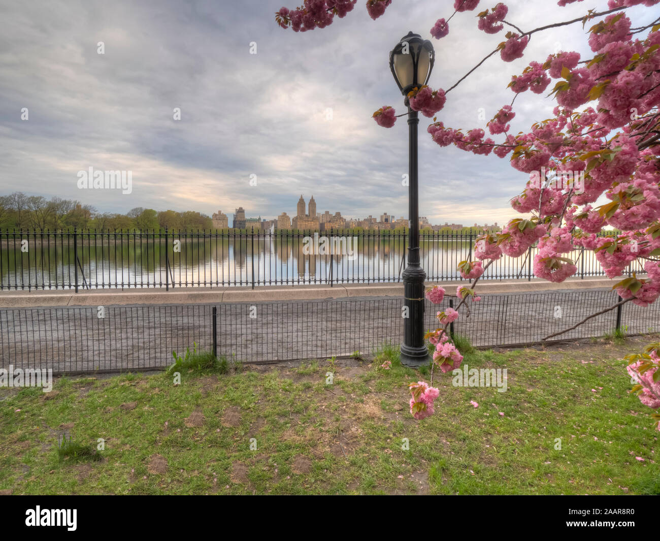 Spring in Central Park, New York City Stock Photo - Alamy