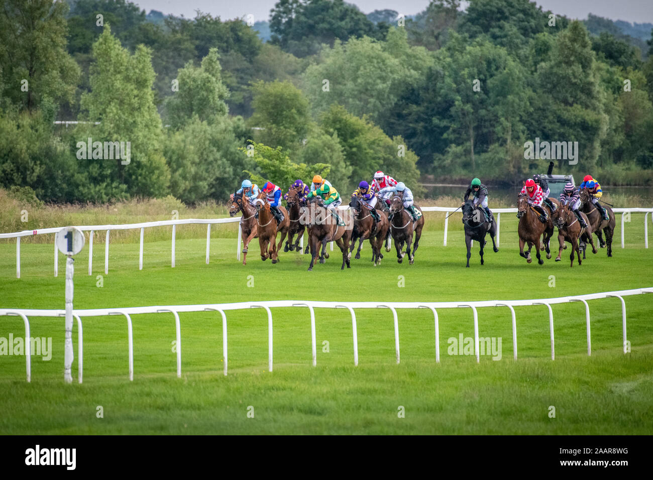 Ripon races hi-res stock photography and images - Alamy
