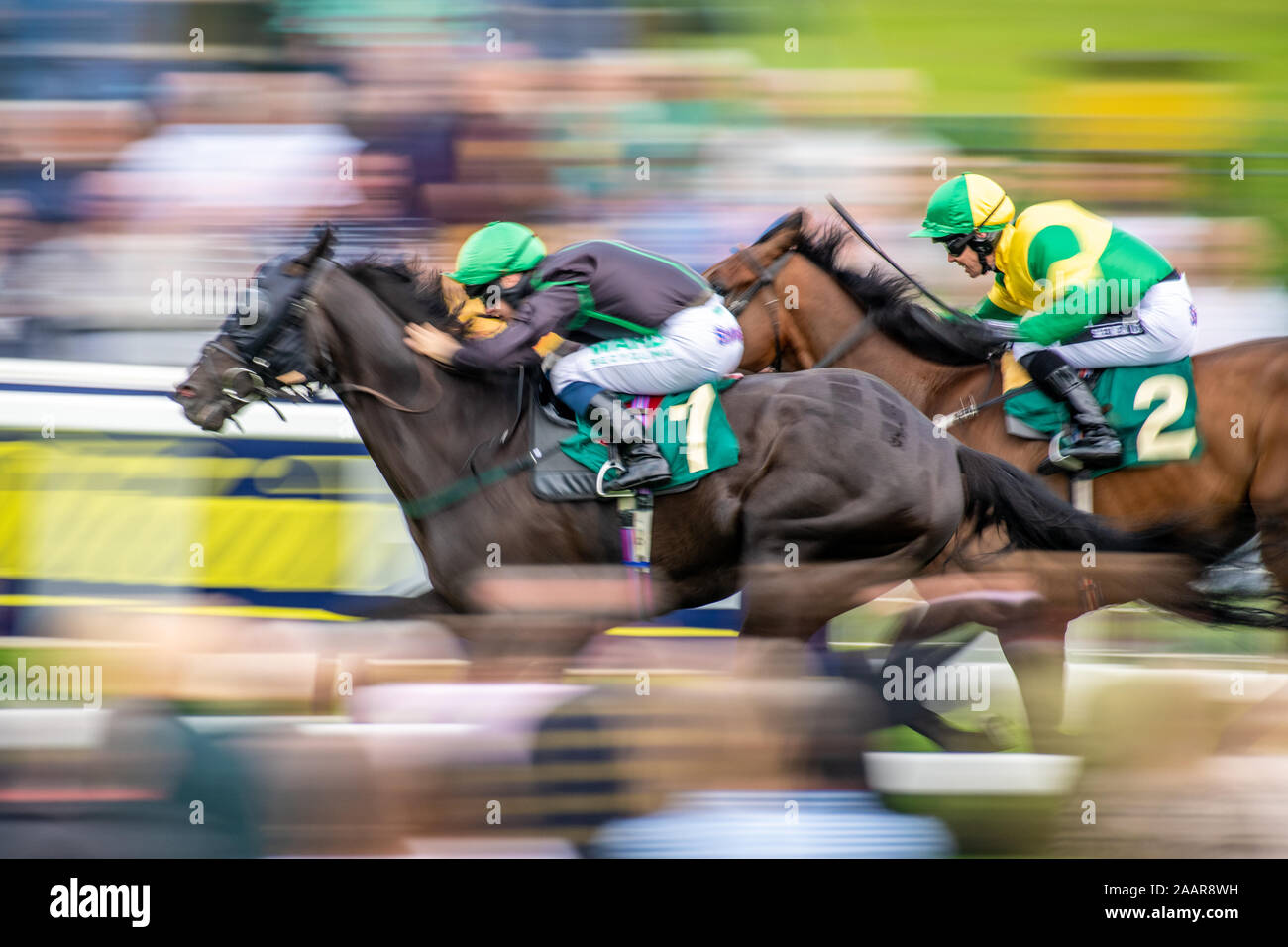 Horse Racing at Ripon Races , Yorkshire UK Stock Photo - Alamy