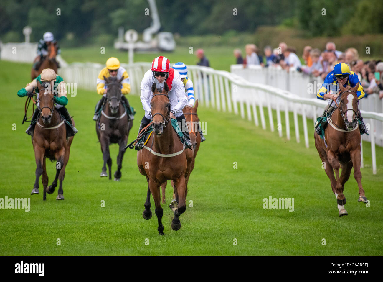 Ripon races hi-res stock photography and images - Alamy