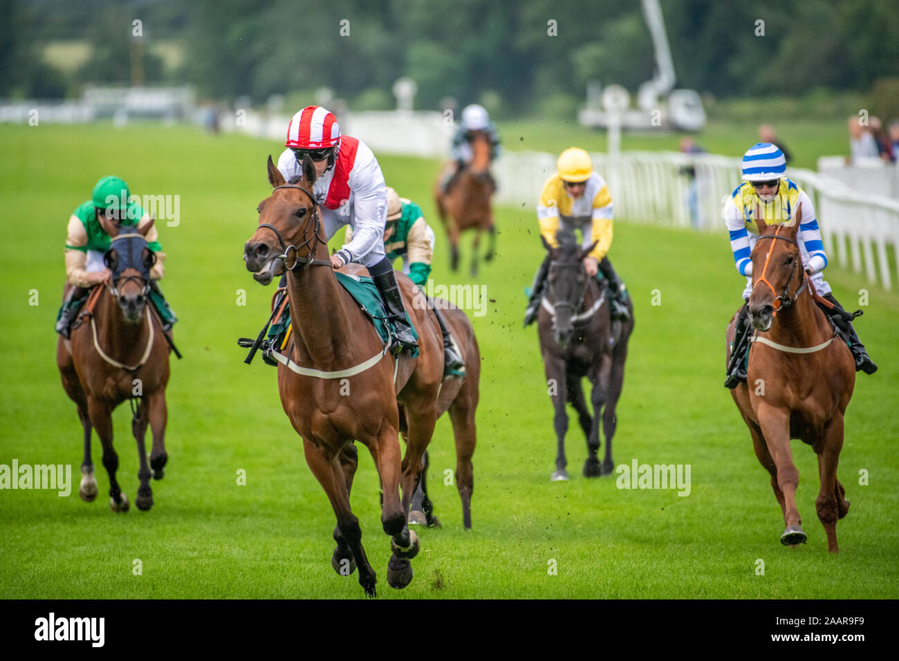 Horse Racing at Ripon Races , Yorkshire UK Stock Photo - Alamy