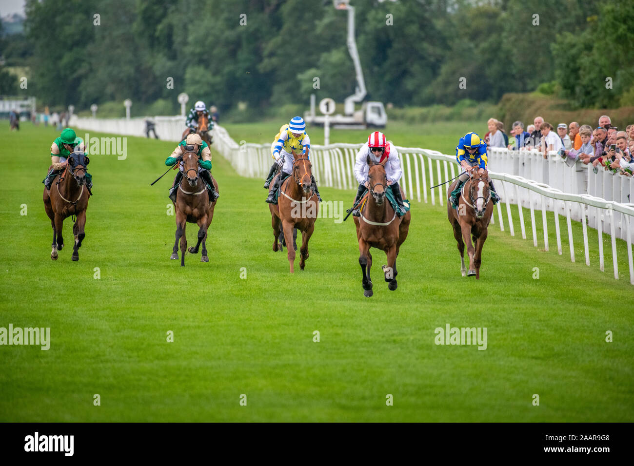 Horse Racing at Ripon Races , Yorkshire UK Stock Photo - Alamy