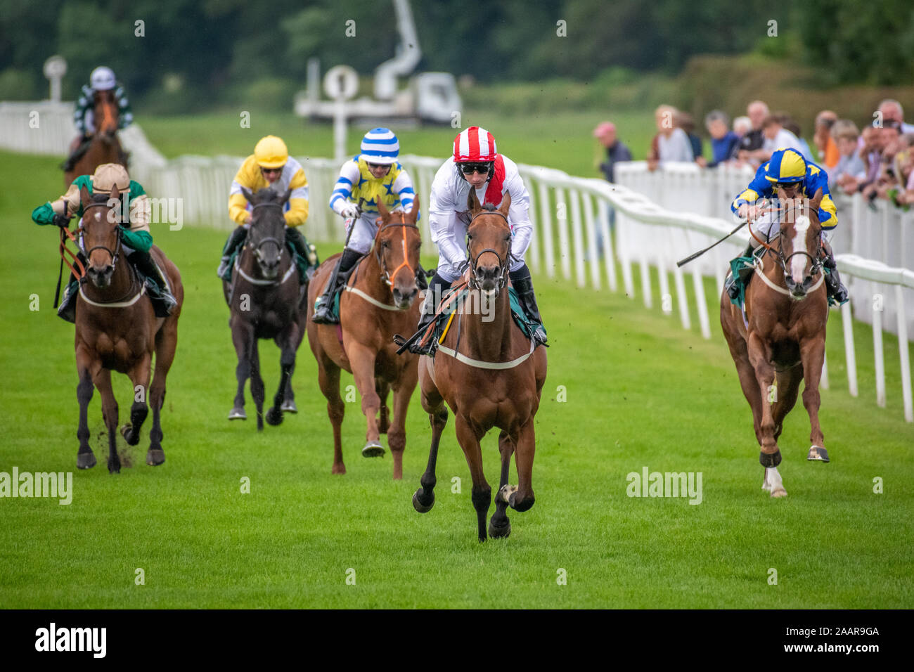 Horse Racing at Ripon Races , Yorkshire UK Stock Photo - Alamy