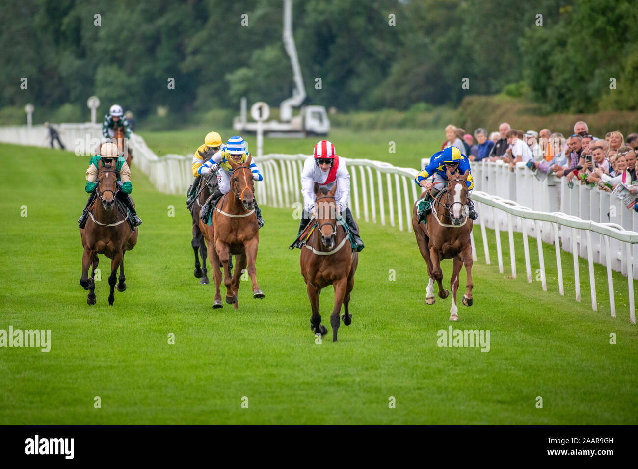 Ripon races hi-res stock photography and images - Alamy