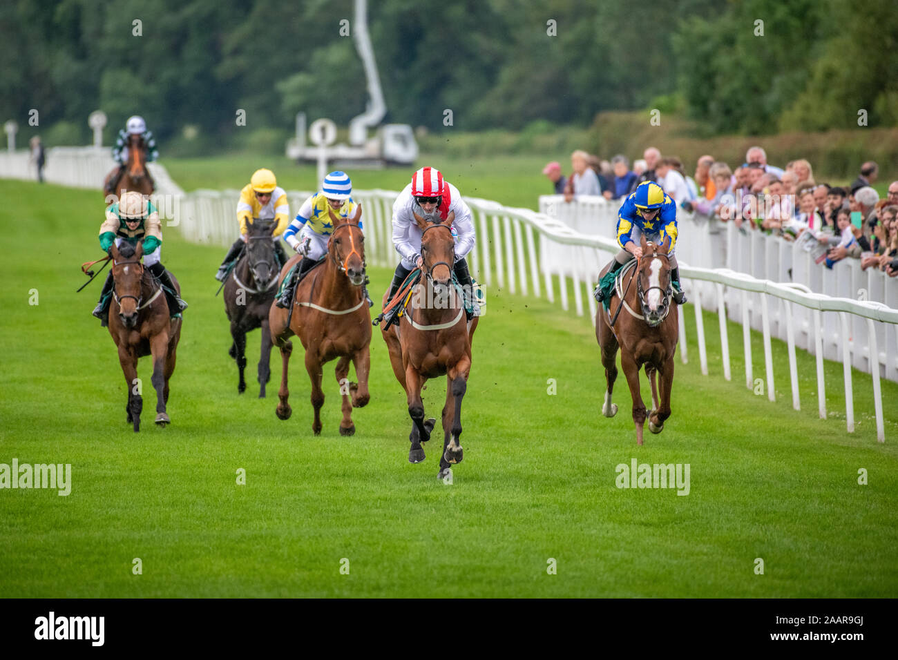 Horse Racing at Ripon Races , Yorkshire UK Stock Photo - Alamy