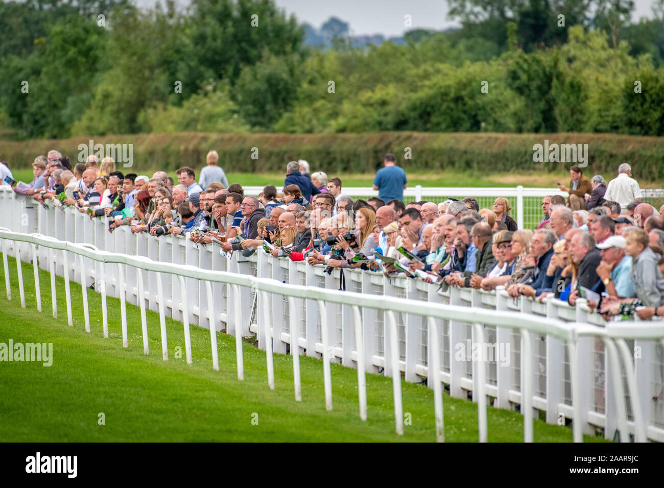 Attendees Intently Watching a Race at Ripon Races , Yorkshire UK Stock ...
