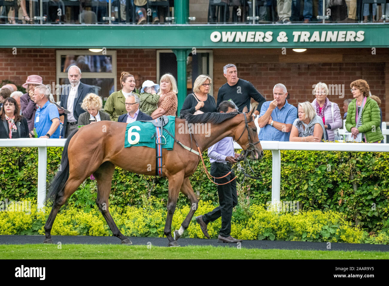People Watching as a Horse is Lead to the Track at Ripon Races ...
