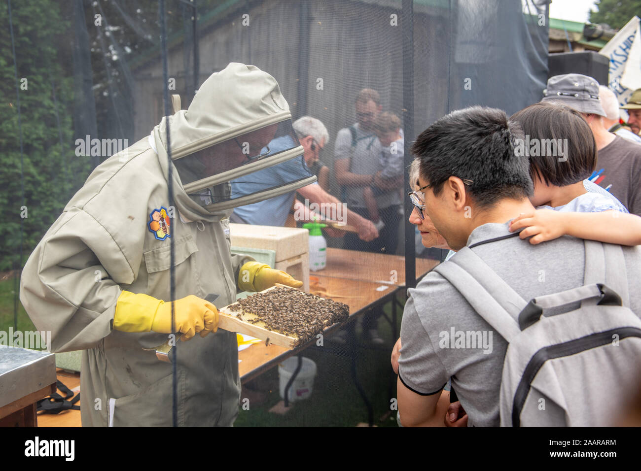 A beekeeper gives a daily an up close look at some bees, Great ...