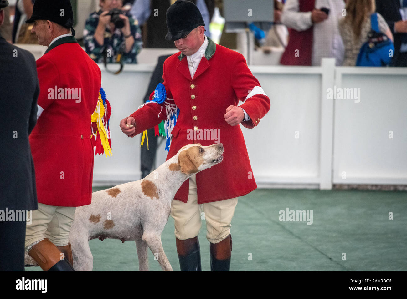 Hunting dogs and their masters participating in The Great Yorkshire ...