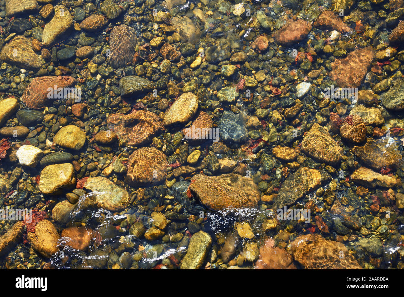 Stones in river underwater hi-res stock photography and images - Alamy