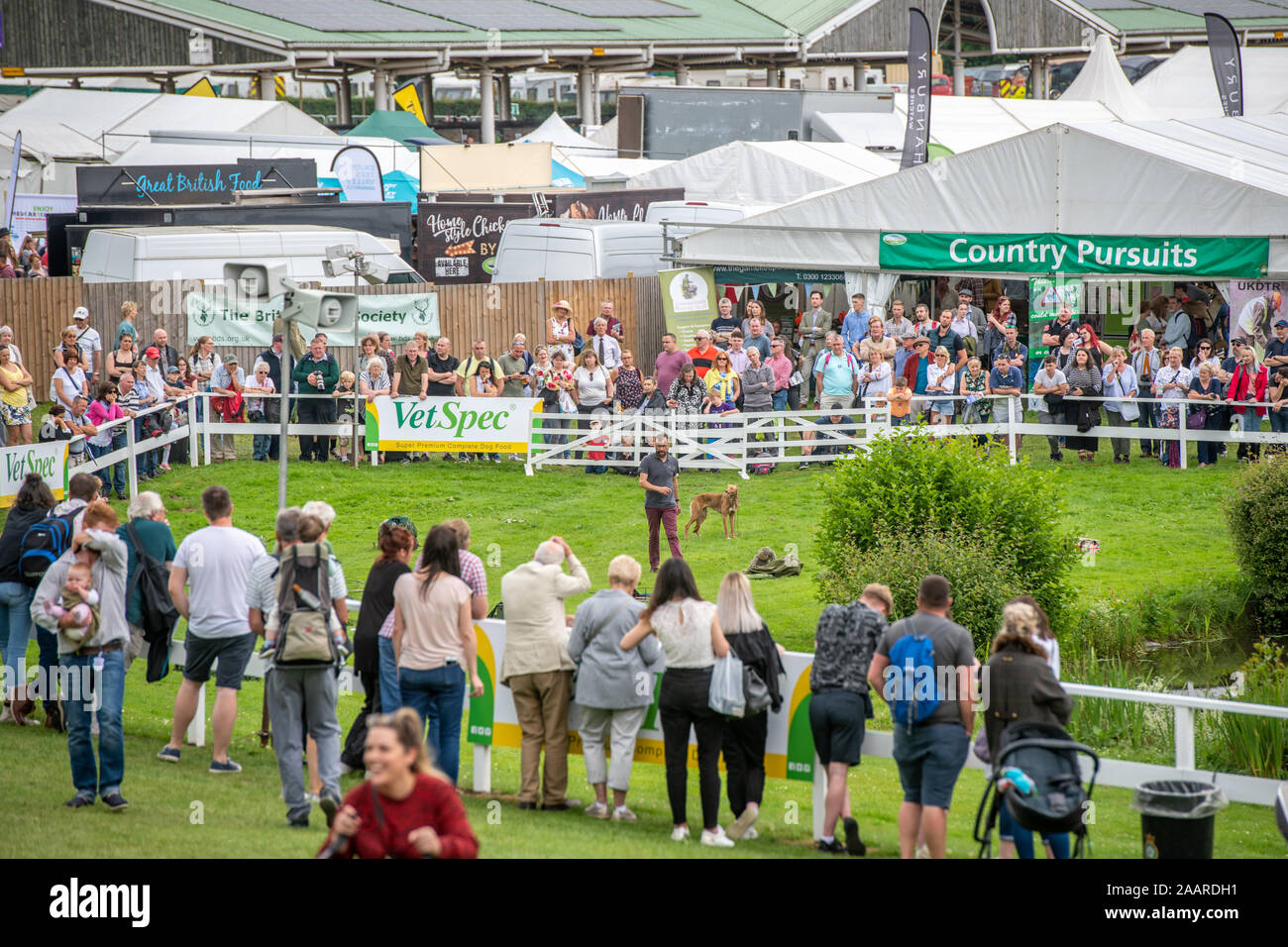 Spectators watch a dog and his trainer run a course at the Great ...