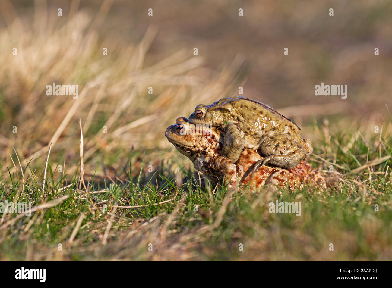 Männchen weg hi-res stock photography and images - Alamy