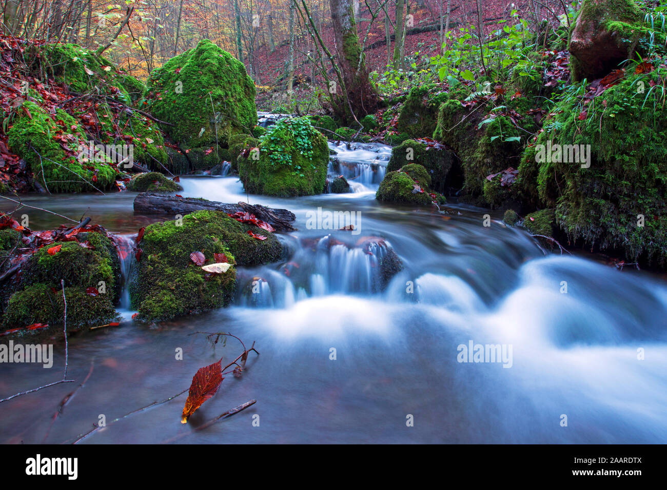 Weisser kocher hi-res stock photography and images - Alamy