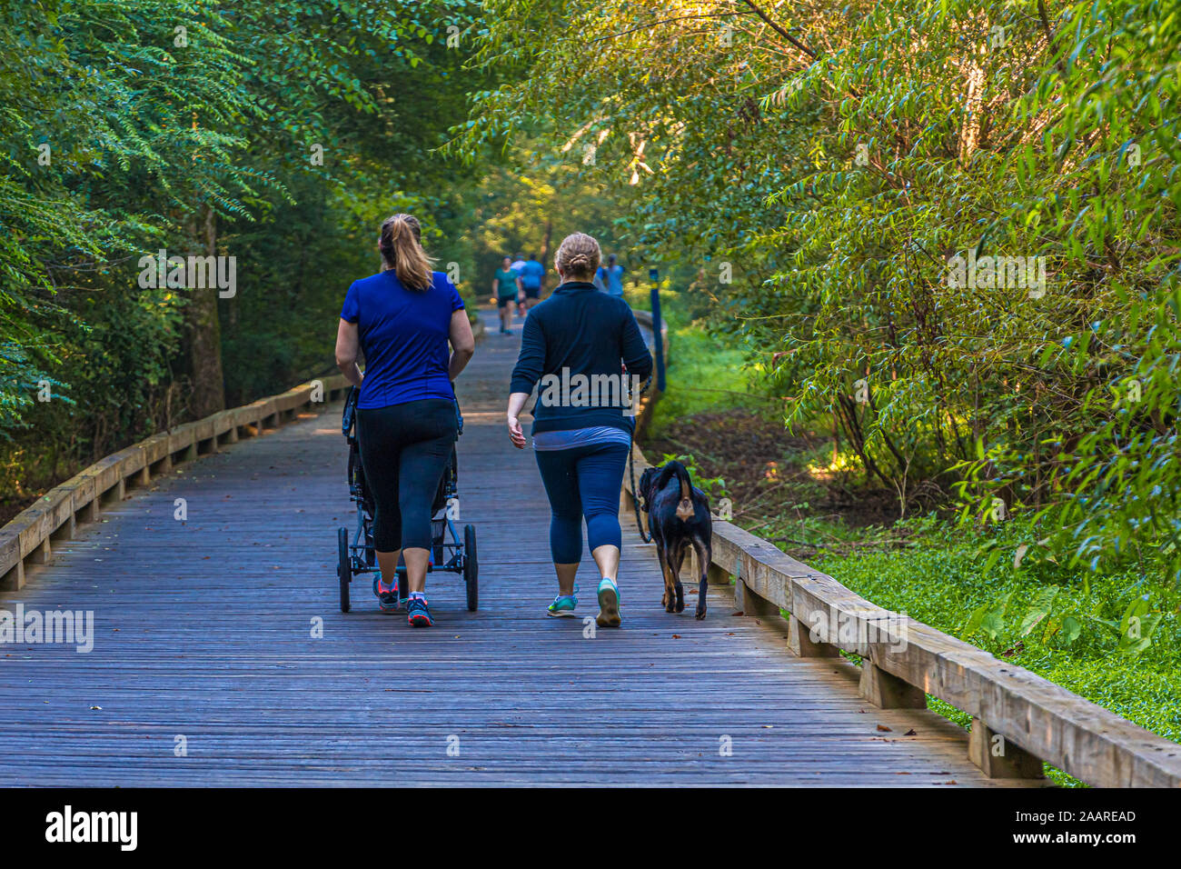 Women Walking with Dog and Baby Stock Photo - Alamy