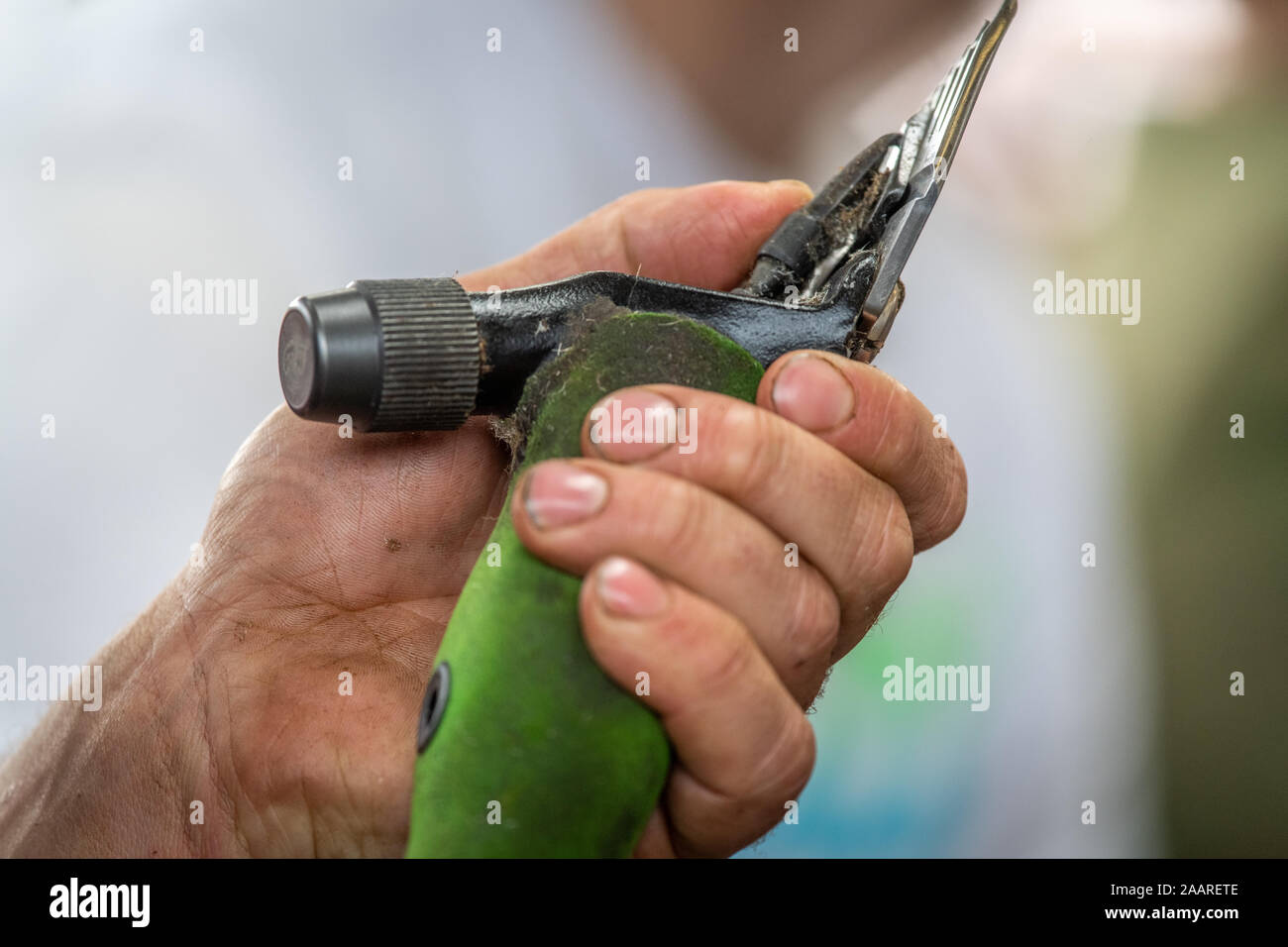 Sheep shearing tools, The Great Yorkshire Show, Harrogate, Yorkshire ...