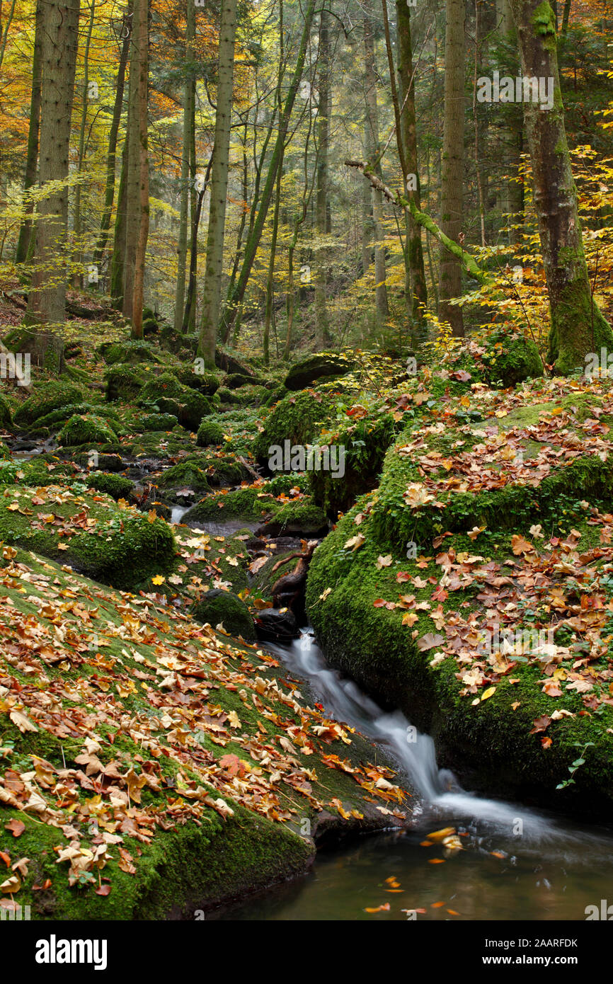 Monbachtal hi-res stock photography and images - Alamy