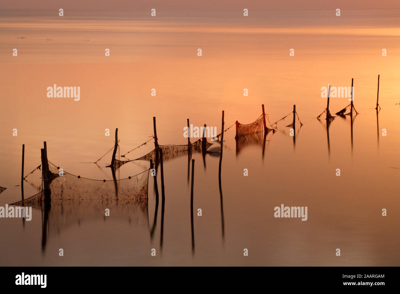 Stellnetze im Wattenmeer auf der Insel Texel, Niederlande Stock Photo ...