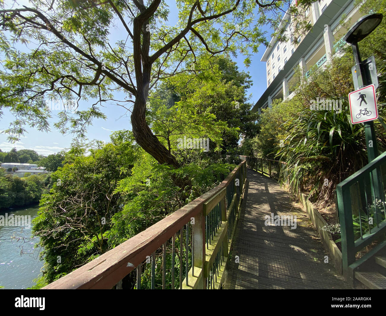 Waikato River trail through central Hamilton, New Zealand Stock Photo ...