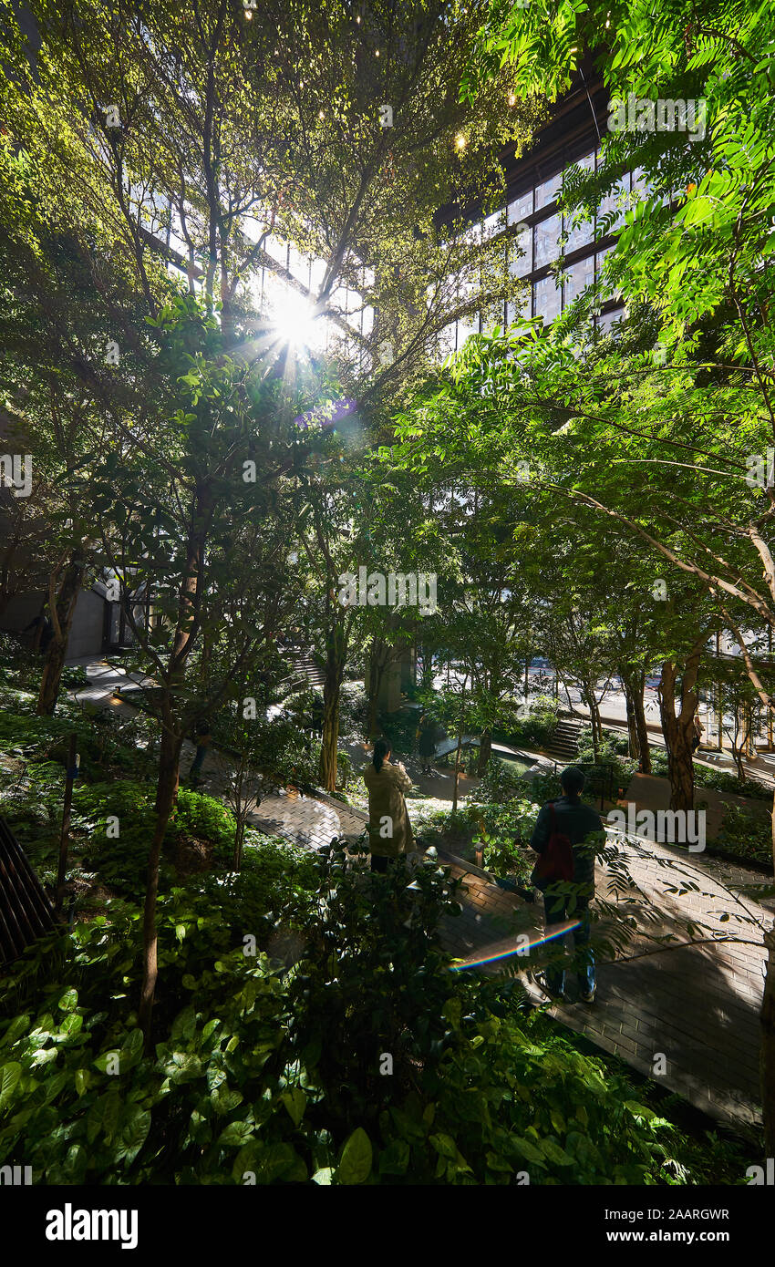 Interior garden at the Ford Foundation Stock Photo - Alamy