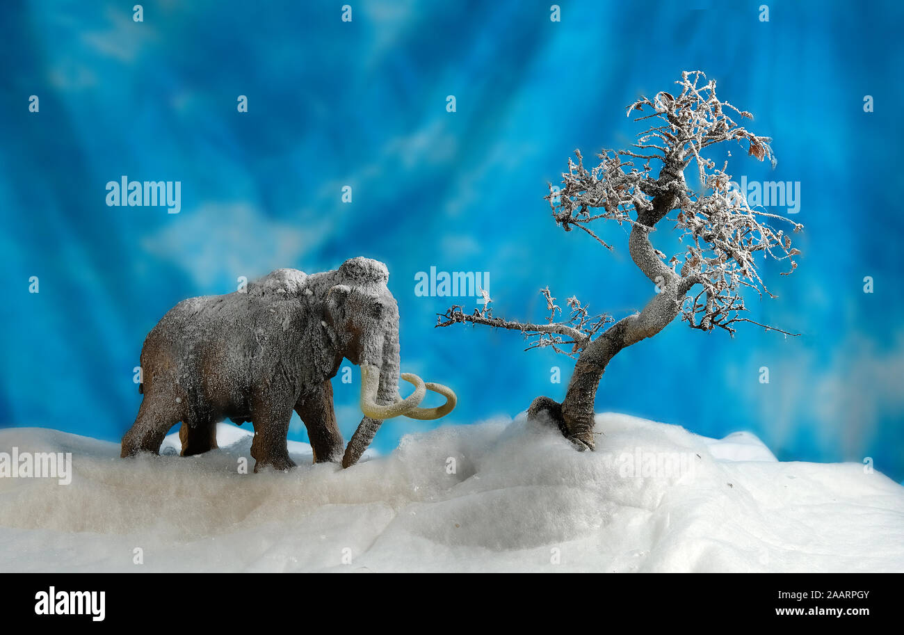 Extinct ice age mammal next to a frost covered tree Stock Photo - Alamy