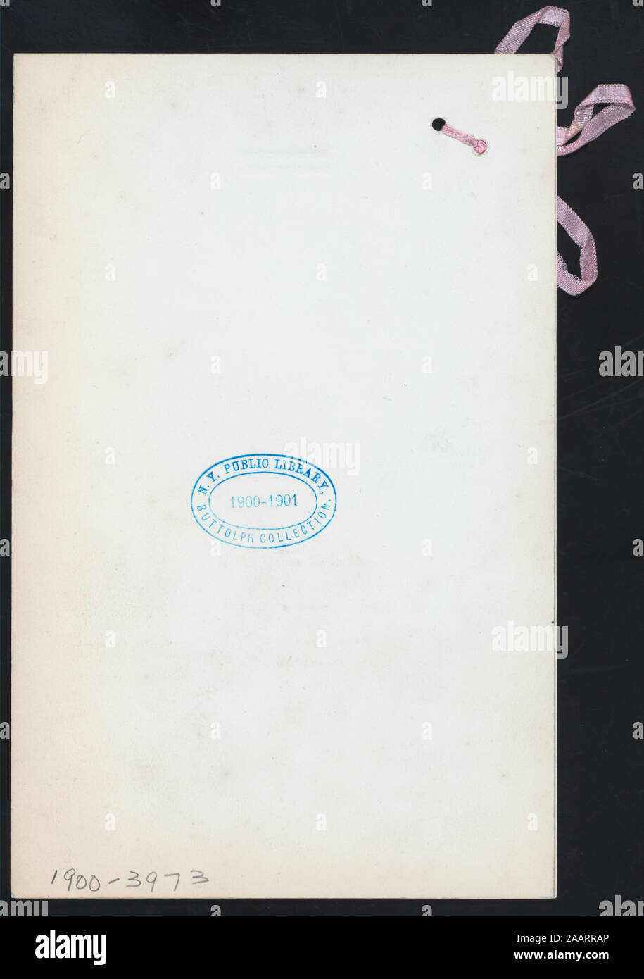 Ribbon seal ocean hi-res stock photography and images - Alamy