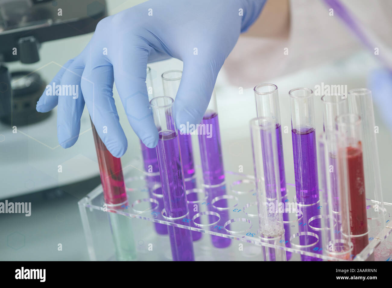 Microbiological pipette in the genetic laboratory. Science laboratory ...