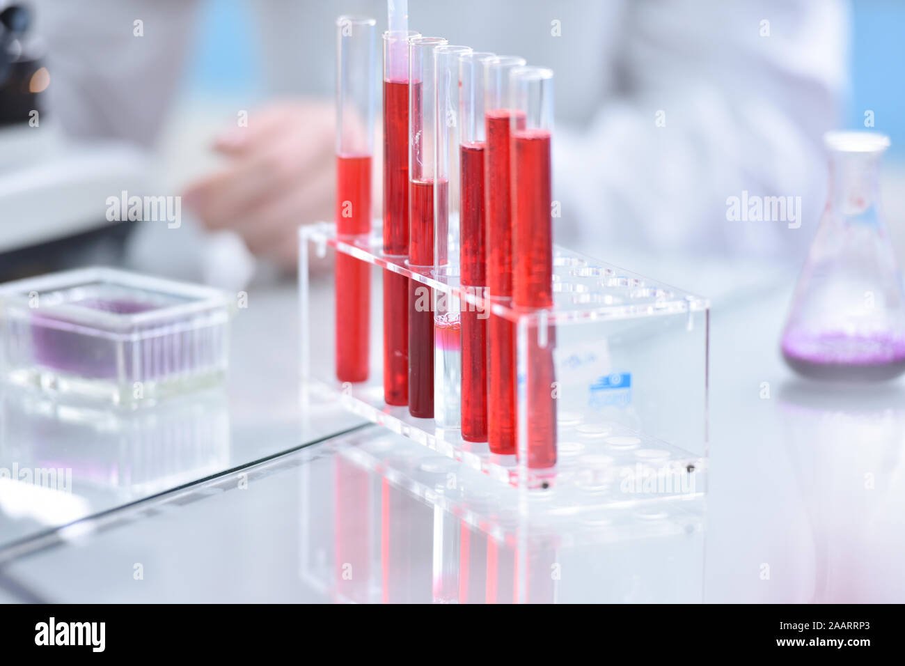 Microbiological pipette in the genetic laboratory. Science laboratory ...