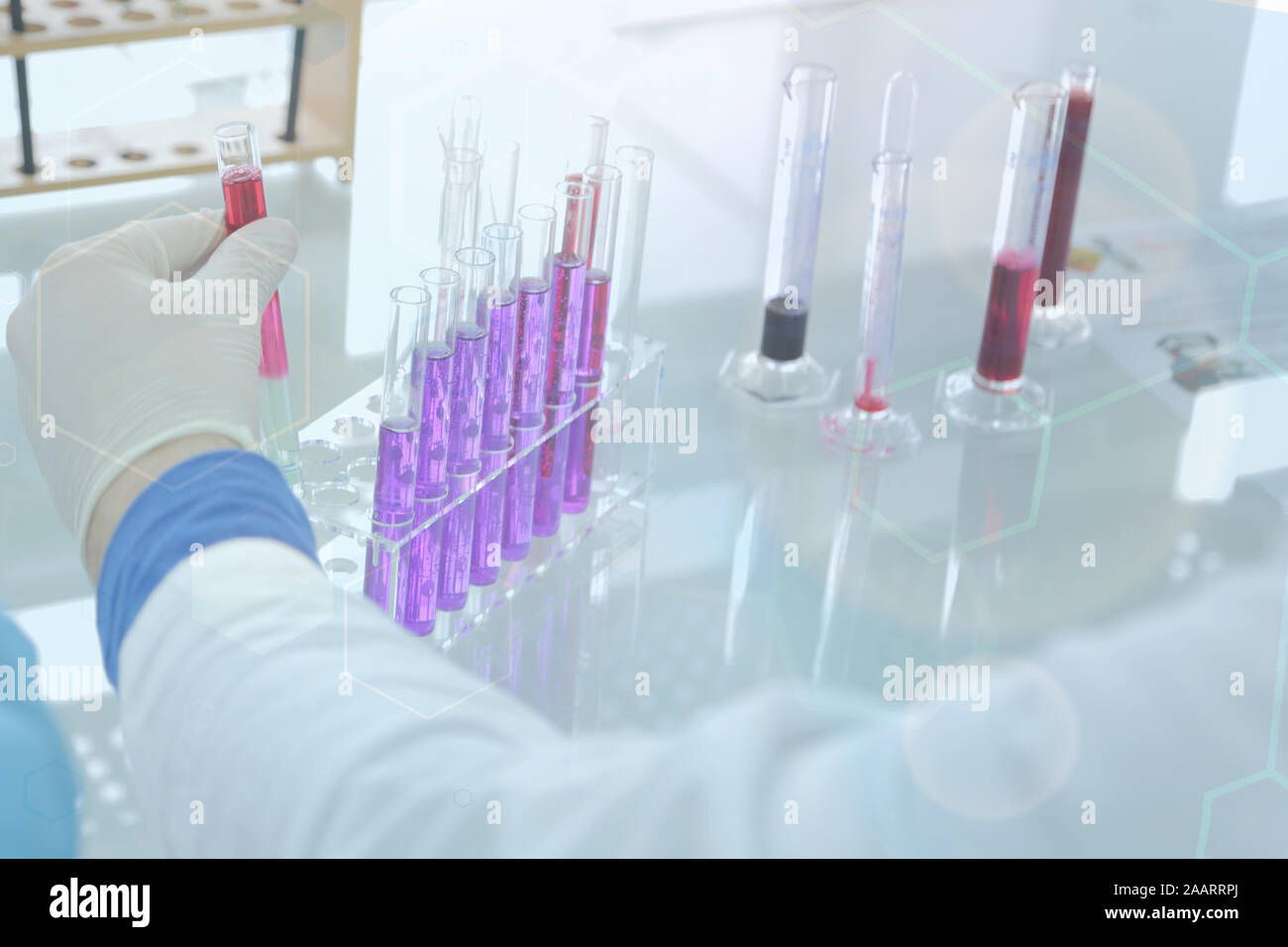 Microbiological pipette in the genetic laboratory. Science laboratory ...