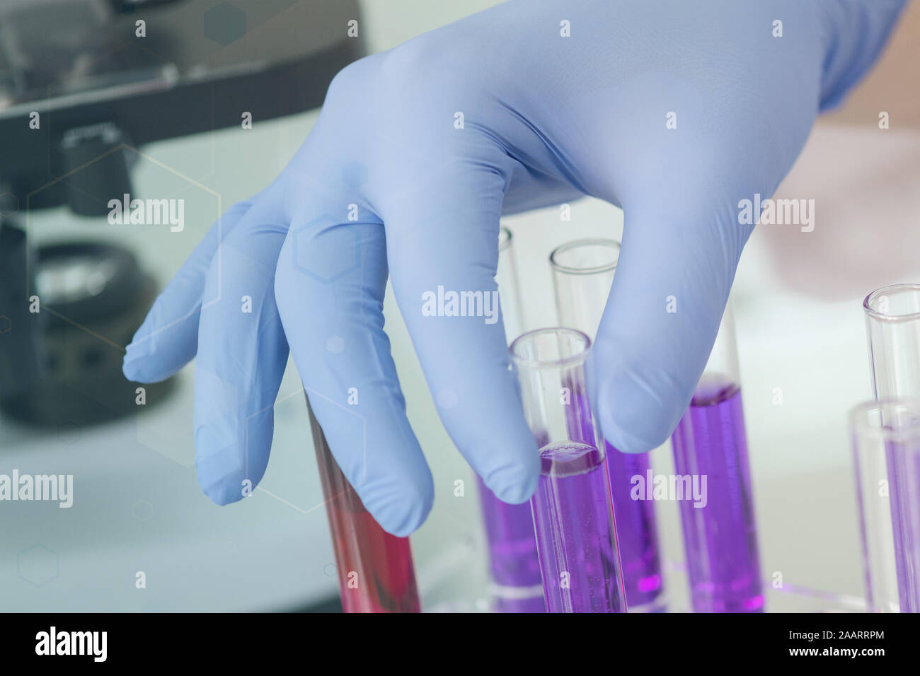 Microbiological pipette in the genetic laboratory. Science laboratory ...