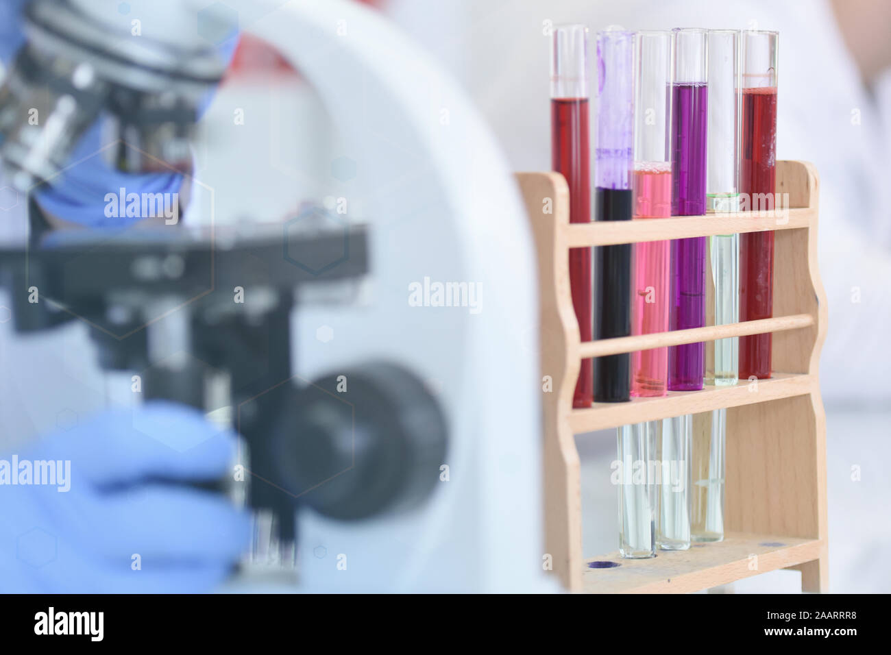 Microbiological pipette in the genetic laboratory. Science laboratory ...