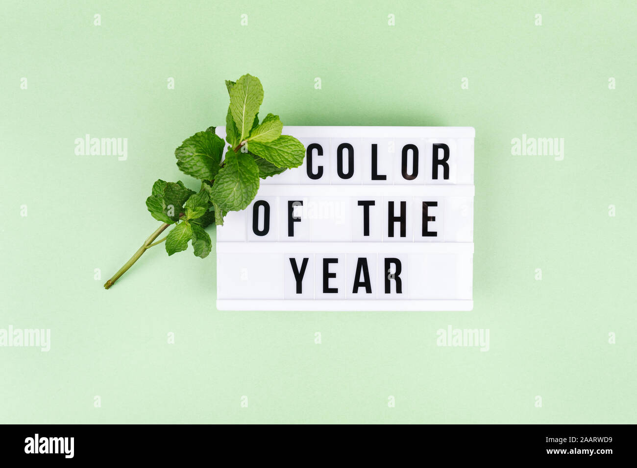 Retro lightbox with Color of the year wording and a mint stem on the ...