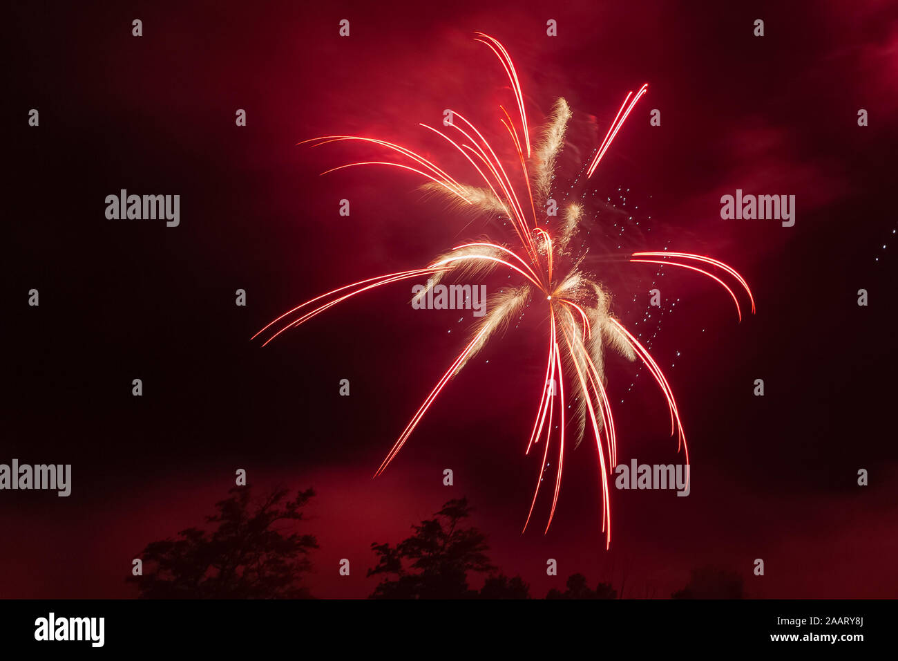 Red and white fireworks lighting sky over trees silhouette Stock Photo ...