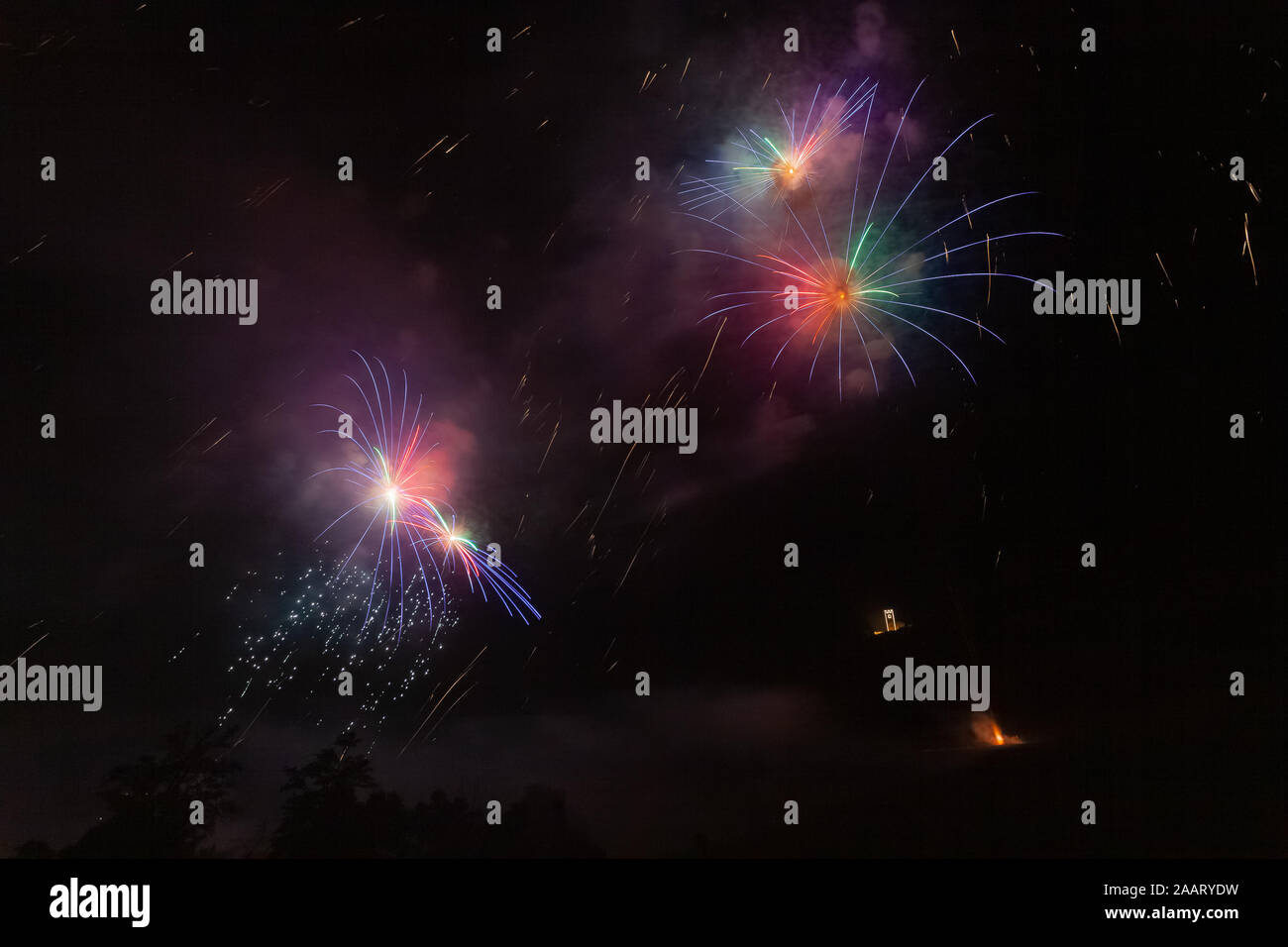 Multi colored fireworks over trees silhouette Stock Photo - Alamy