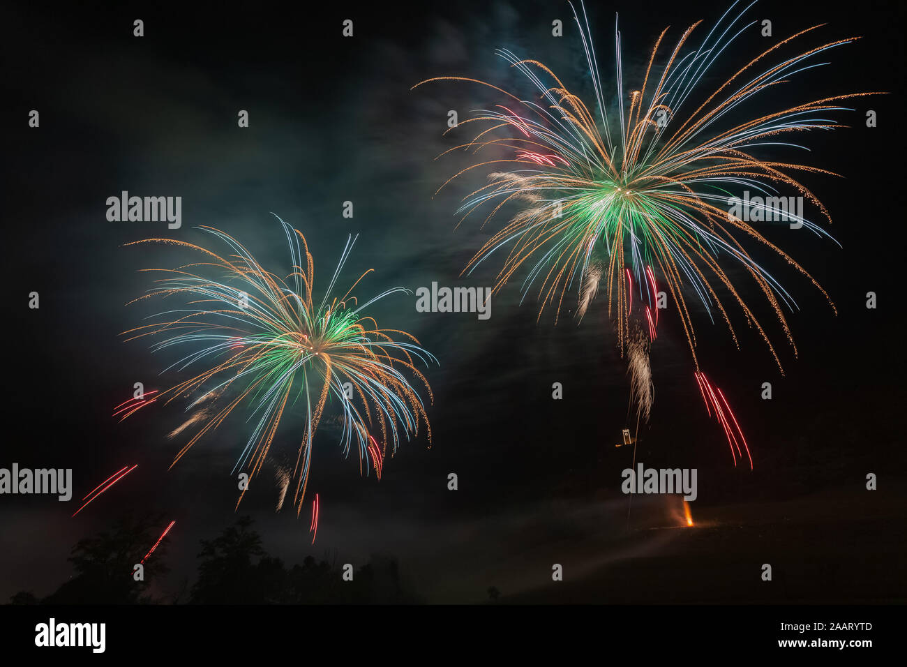 Awesome multi colored fireworks lighting sky over trees silhouette ...