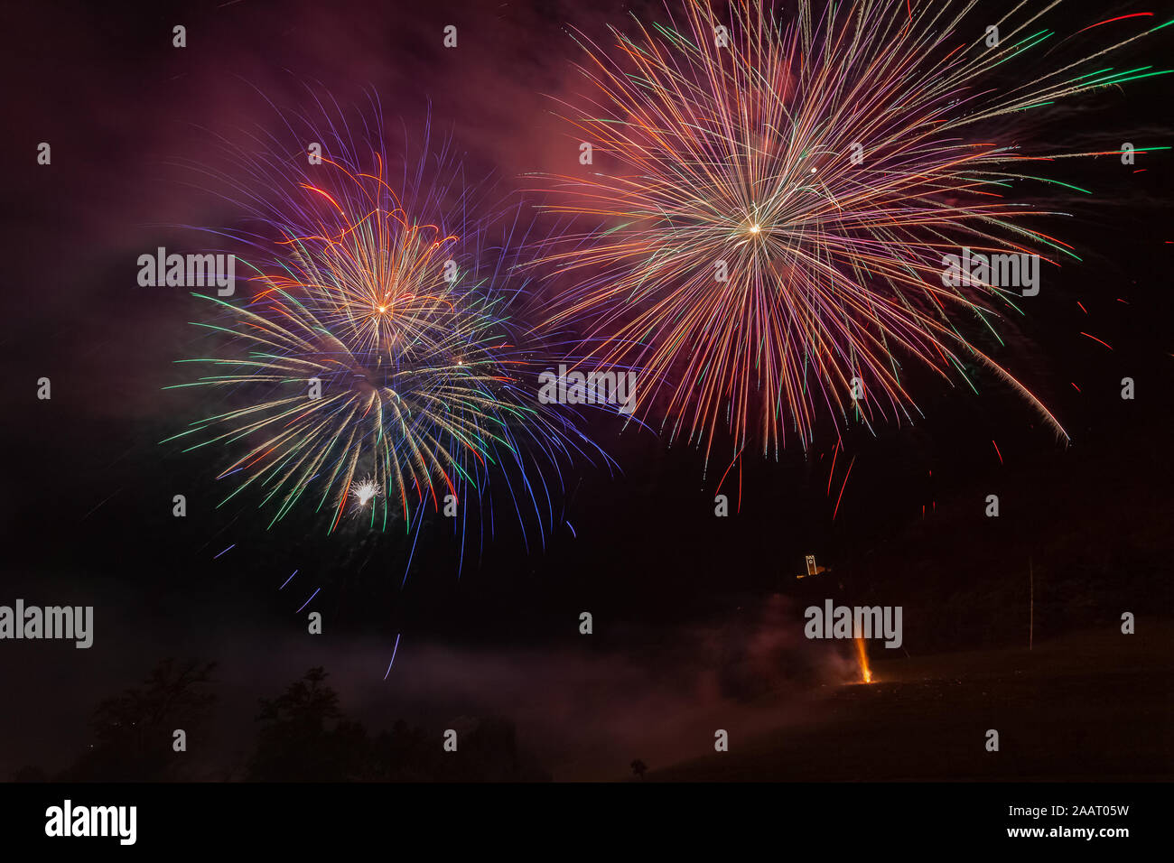 Beautiful multi color fireworks explosions lighting sky over trees ...