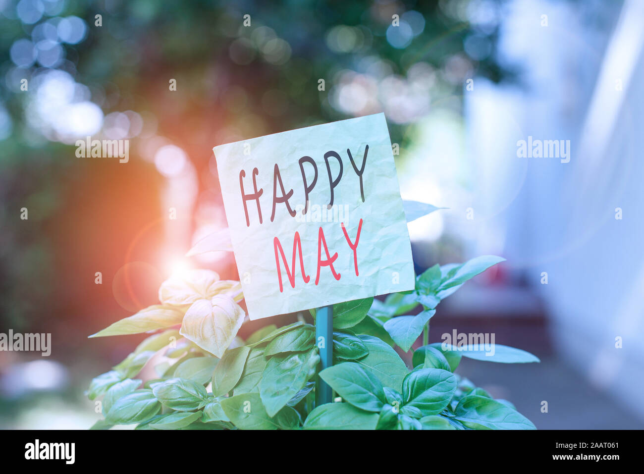 Canicular days hi-res stock photography and images - Alamy
