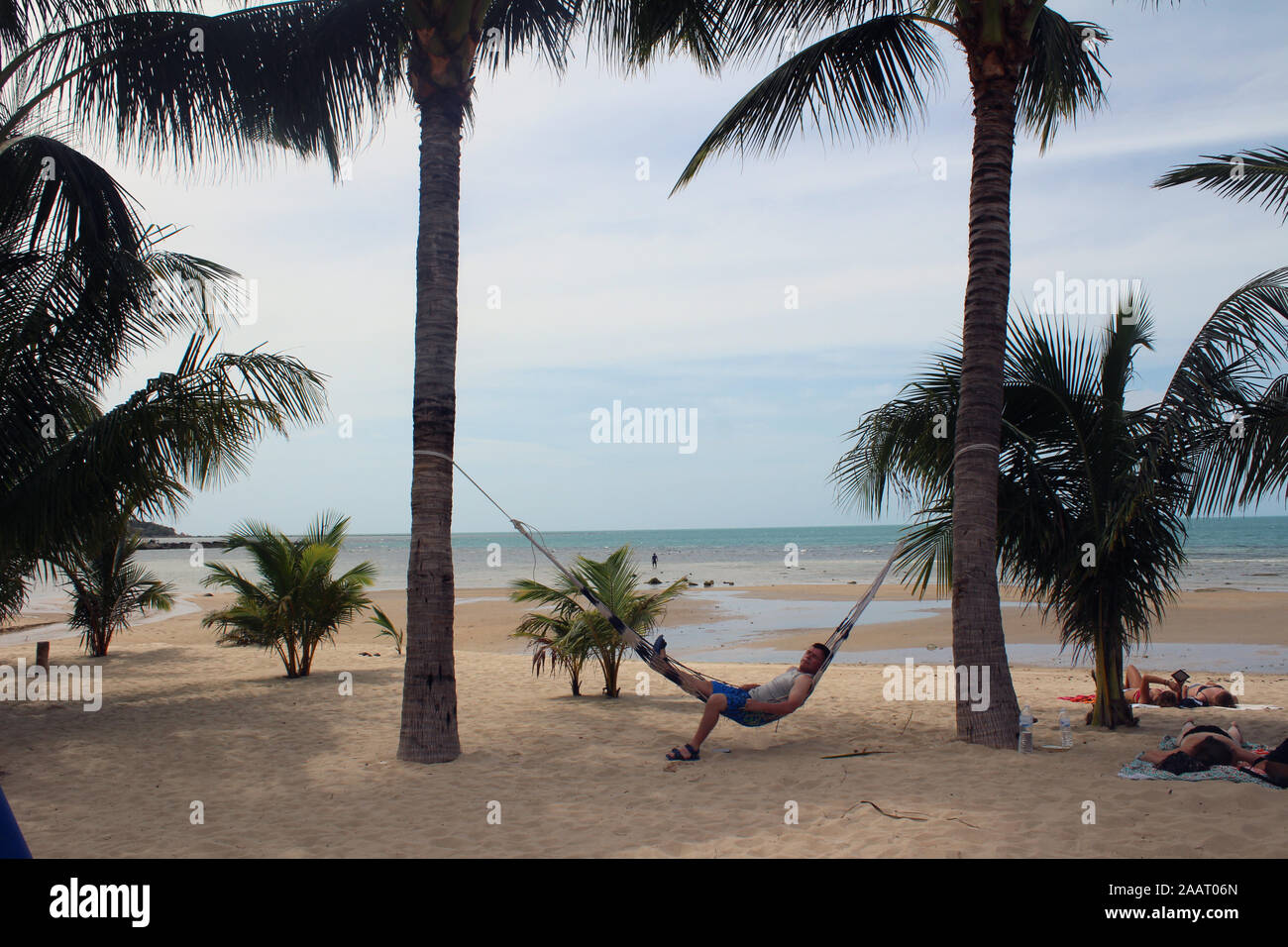 Hammock on beach hi-res stock photography and images - Alamy