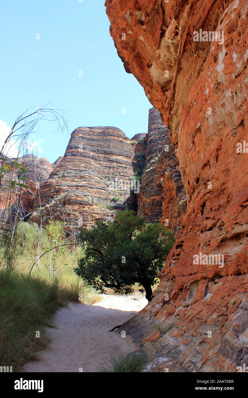 Bungle Bungle National Park in Western Australia Stock Photo - Alamy