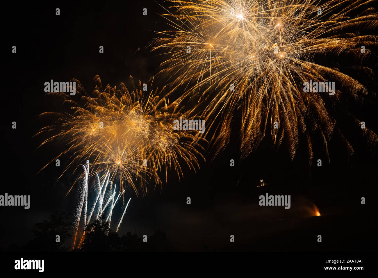 Awesome color games of golden fireworks over trees silhouette Stock ...