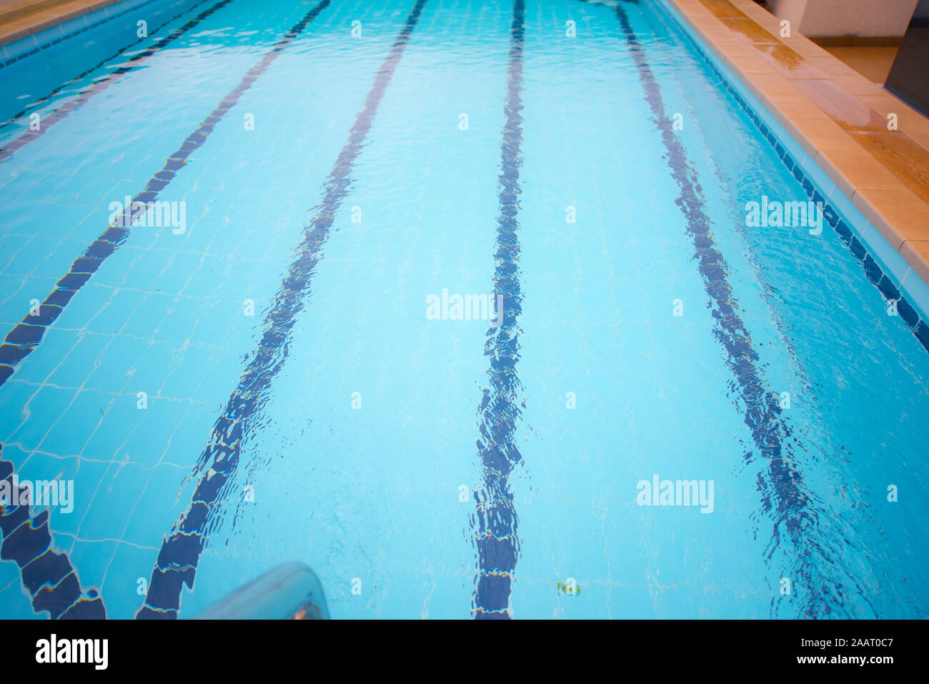 Small swimming pool on the roof, private modern villa house Stock Photo ...