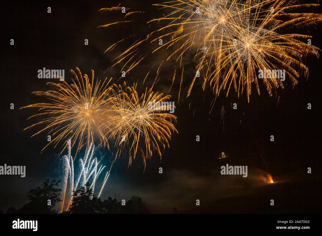 Beautiful color games of golden fireworks over trees silhouette Stock ...