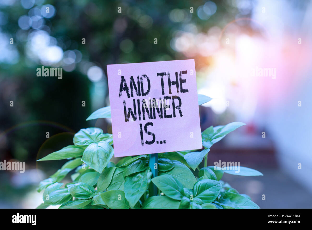 Text sign showing And The Winner Is. Business photo showcasing ...