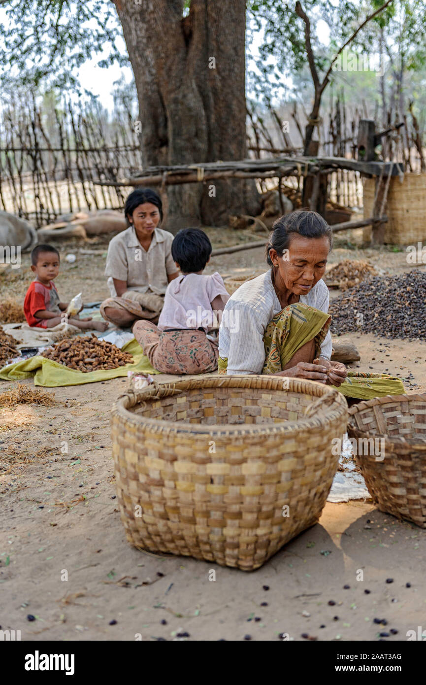 Burmese peasant hi-res stock photography and images - Alamy